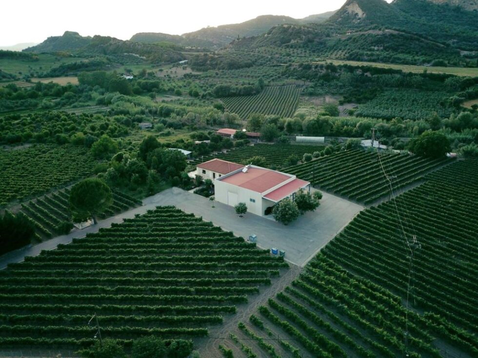 ΕΛΛΗΝΙΚΑ ΚΡΑΣΙΑ - Olympia Land Winery - Οινοποιείο Ολυμπια Γη
